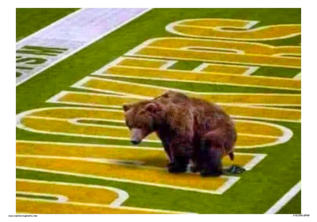 Vintage Reproduction Poster Bear Pooping on Green Bay Packers - Etsy