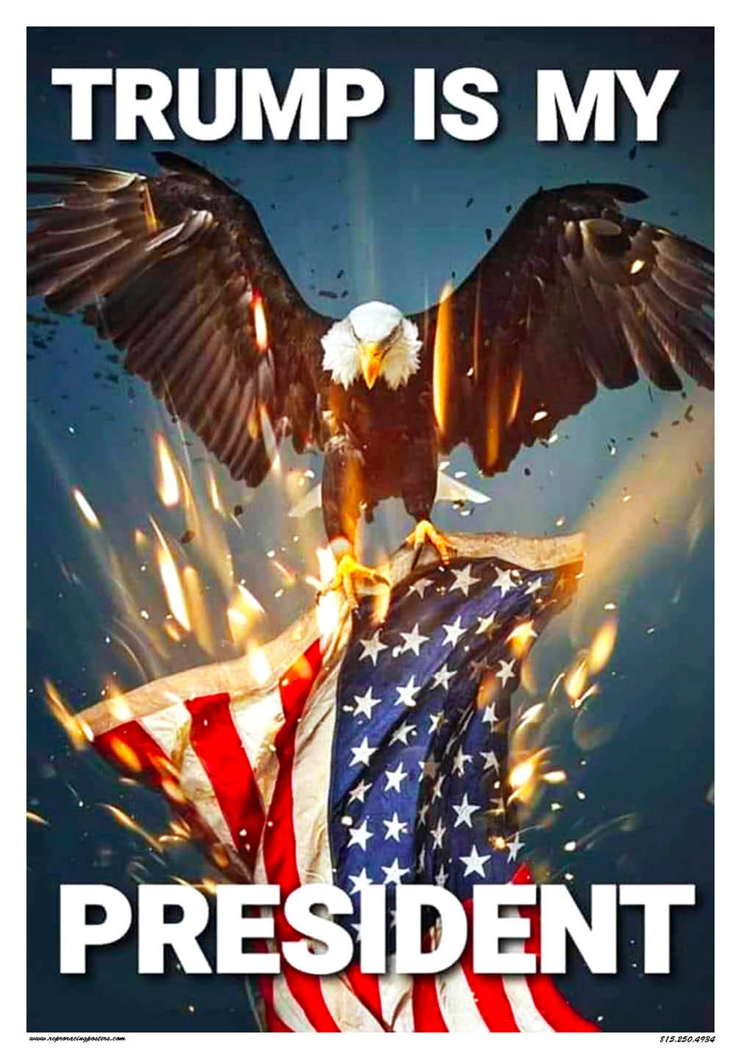 Reproduction Poster TRUMP is My President - Etsy