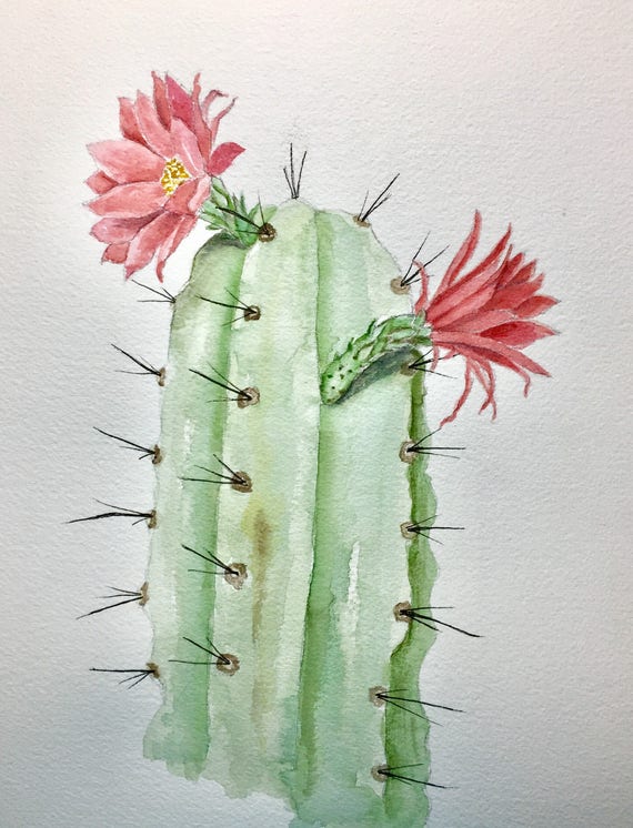 Coral Cactus Desert