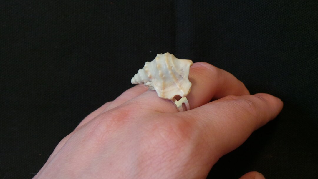 SALE Vintage Miniature Lace Murex Sea Shell Adjustable Silver Ring - Etsy
