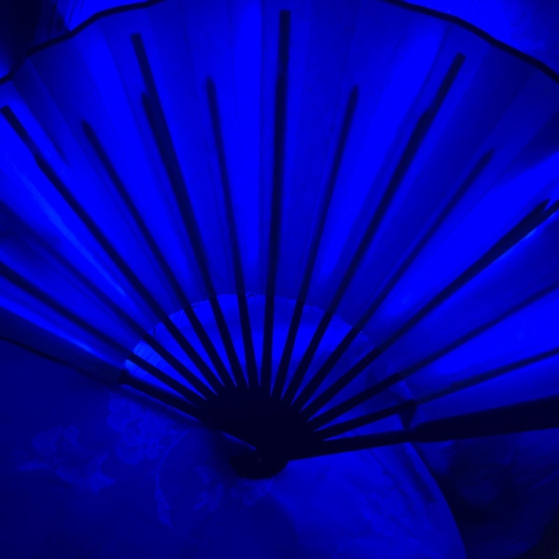 Hand Held Fan - Etsy