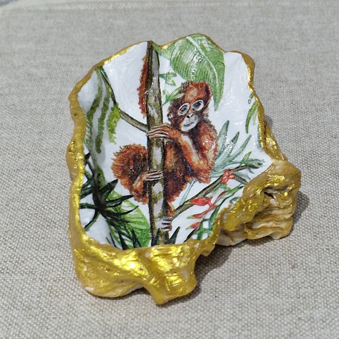NEW Orangutan Baby Monkey Oyster Shell Trinket Dish Jewellery Holder ...