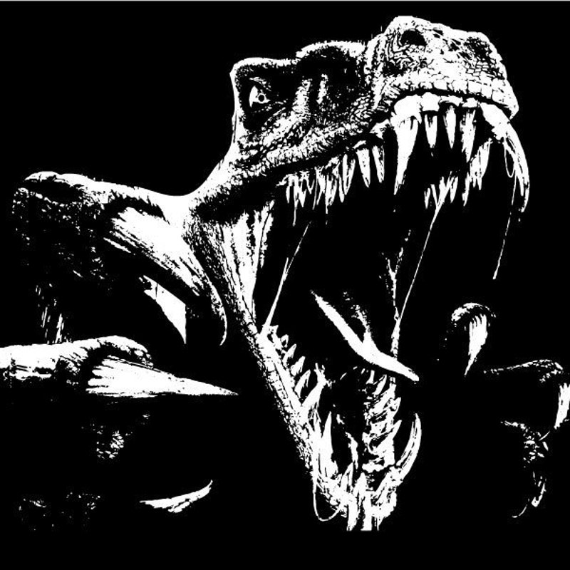 Rapter Truck Bed Stickers - Etsy