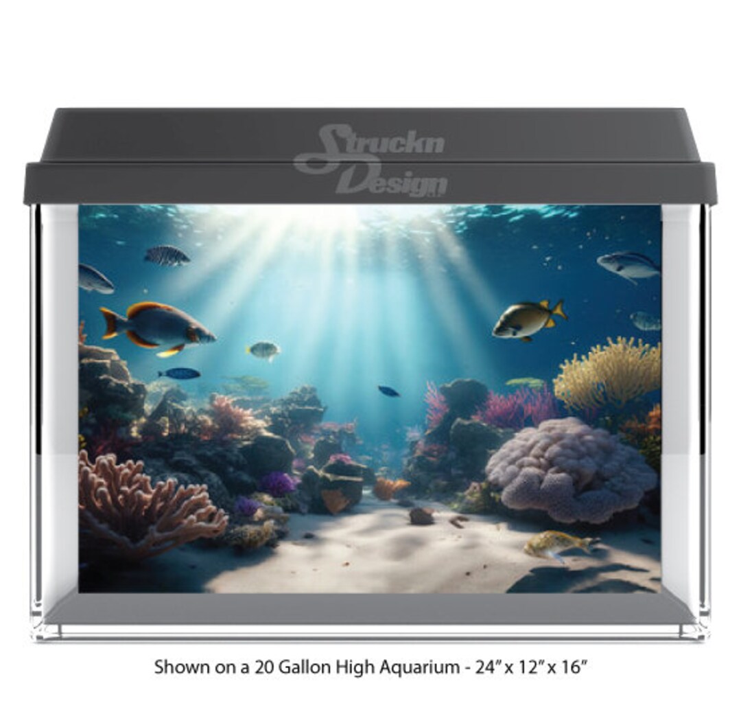 Sun Rays Coral Reef Fish Sandy Floor Cyan Water 10mil Polyester Fish ...