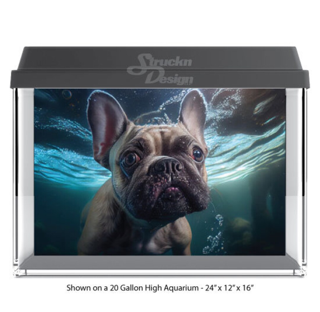 Funny Cute French Bulldog Underwater Water Swimming 10mil Polyester ...
