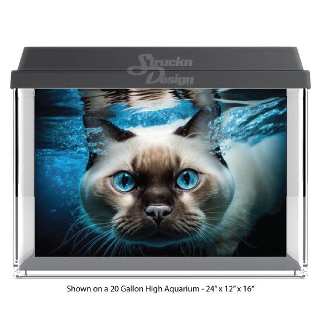 Siamese Cat Swimming Underwater Teal Water 10mil Polyester Fish Tank ...
