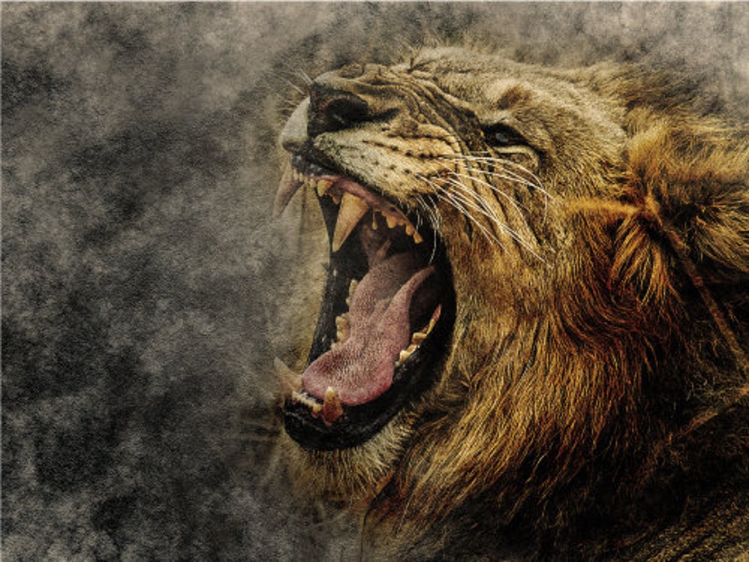 Big Cat Lion Big Teeth Scary Roar King Cat Poster Print Paper OR Wall ...