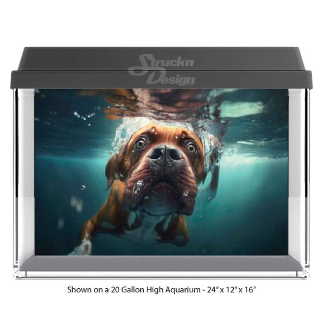 Underwater Boxer Dog Brown Diving Bubbles Blue Cyan 10mil Polyester ...