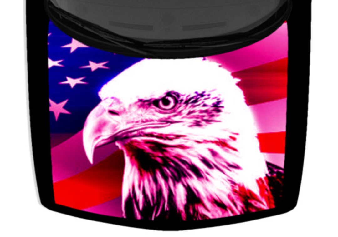 Vibrant Light Pink Bald Eagle Portrait American Flag Car Pickup Truck ...