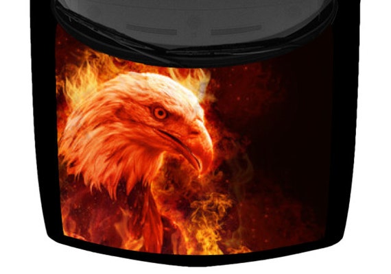 Bald Eagle Flames Eagles