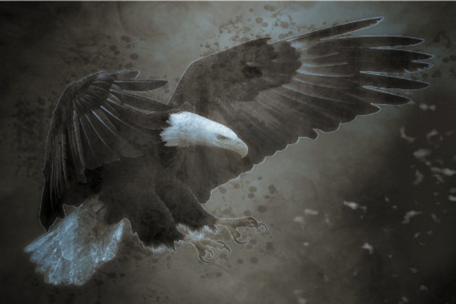 Bald Eagle Flying Landing Fishing Claws Bald Eagle Poster - Etsy