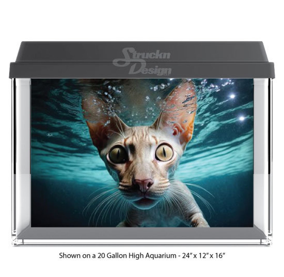 Hairless Cat Swimming Underwater Teal Water 10mil Polyester Fish Tank ...