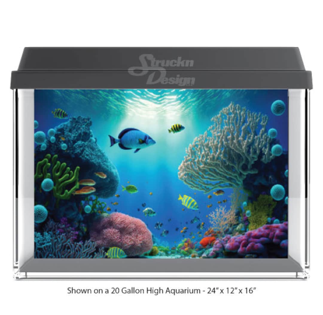 Colorful Coral Reef Fish Teal Water Underwater 10mil Polyester Fish ...