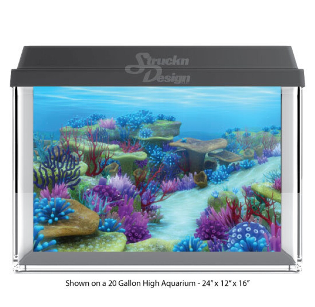 Sea Floor Colorful Coral Blue Water Underwater 10mil Polyester Fish ...