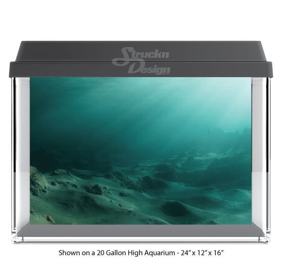 Cyan Blue Sun Rays Ocean Floor Water Underwater 10mil Polyester Fish ...