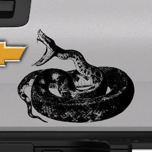 Striking Biting Fangs Snake Drawn Window Bed SUV Hood Door Graphic ...