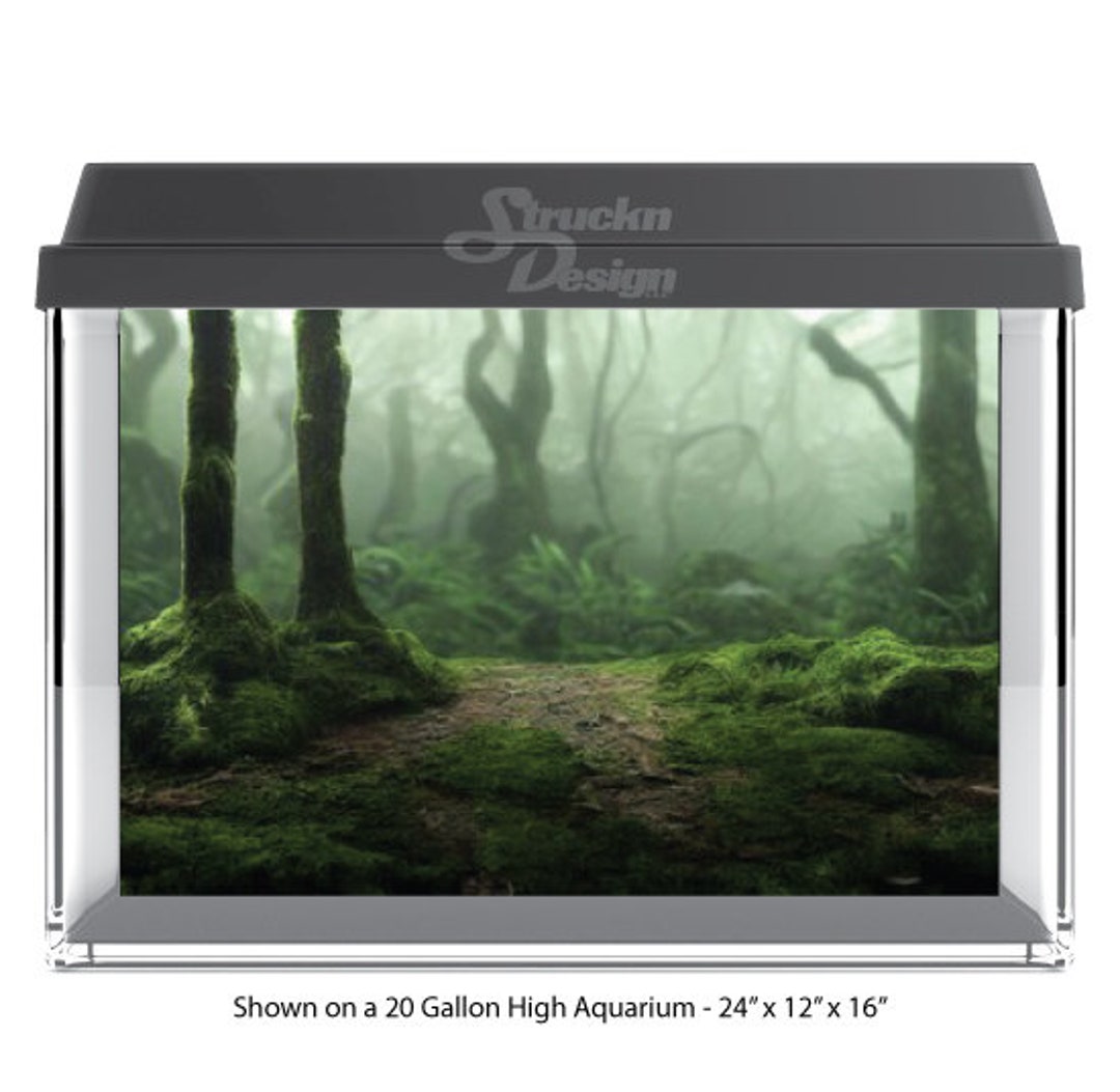 Creepy Foggy Forest Warped Trees Mossy Path 10mil Polyester Fish Tank ...