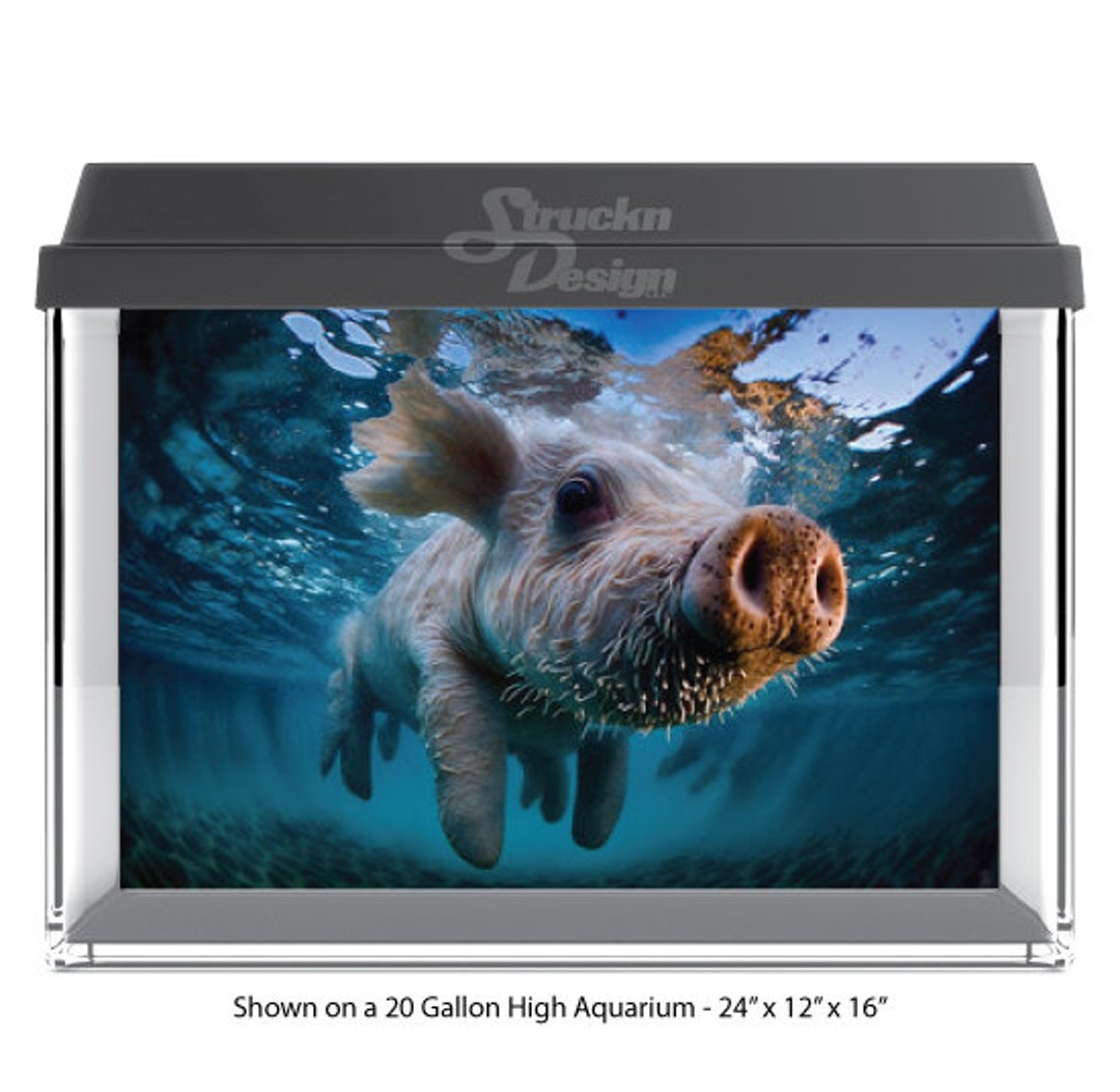 Dark Cute Pink Pig Swimming Underwater Cyan Water 10mil Polyester Fish ...
