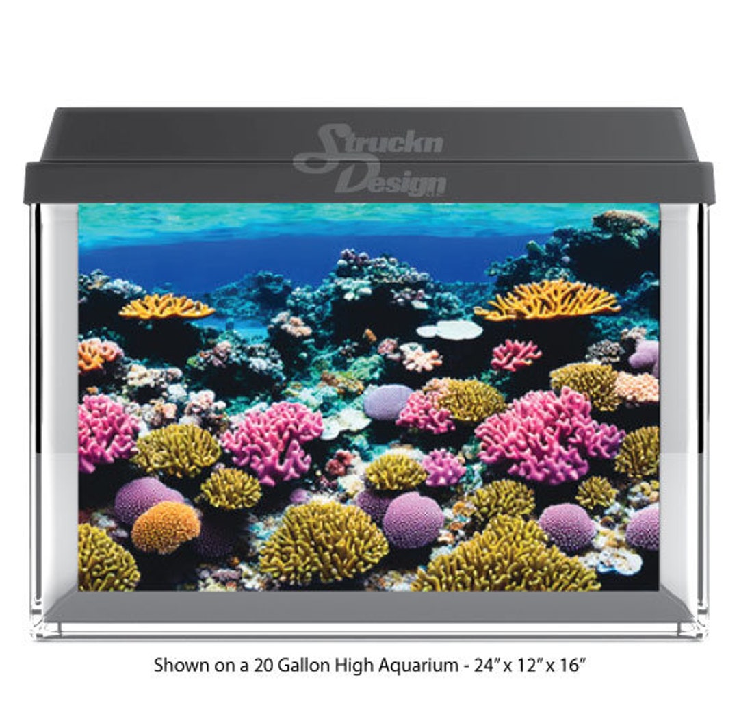 Sea Ocean Floor Colorful Coral Water Underwater 10mil Polyester Fish ...
