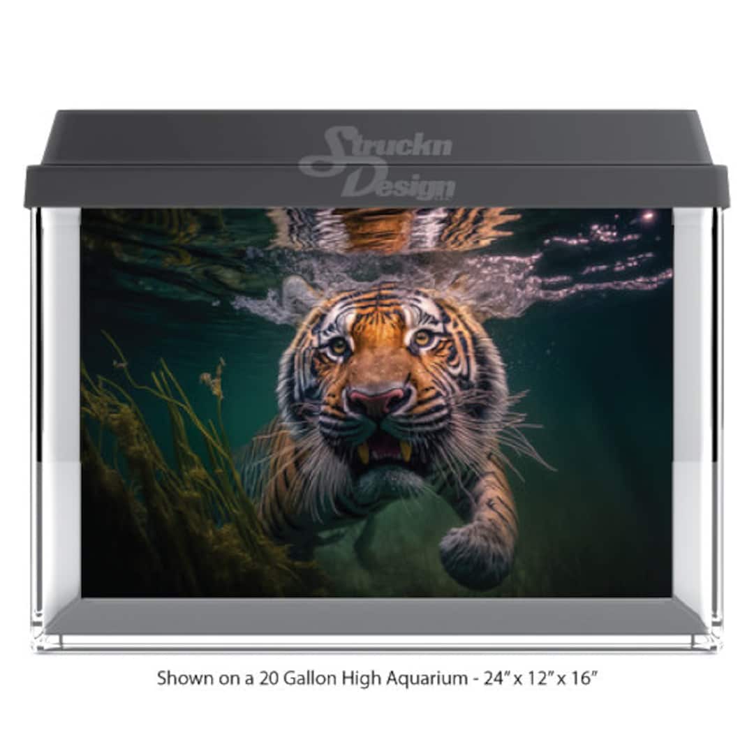 Tiger Swimming Rocky Dark Teal Water Underwater 10mil Polyester Fish ...