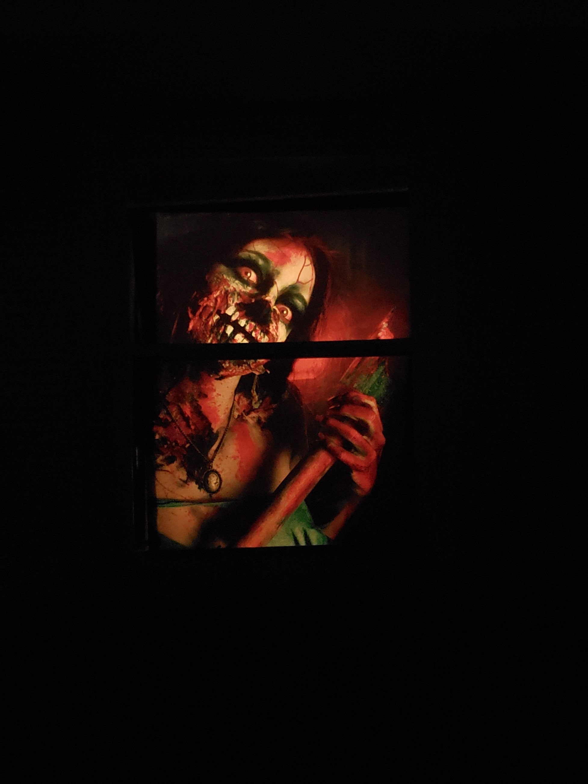 Blue Tint Scary Woman Ghost Horror Window Backlit Wall Backdrop Banner ...