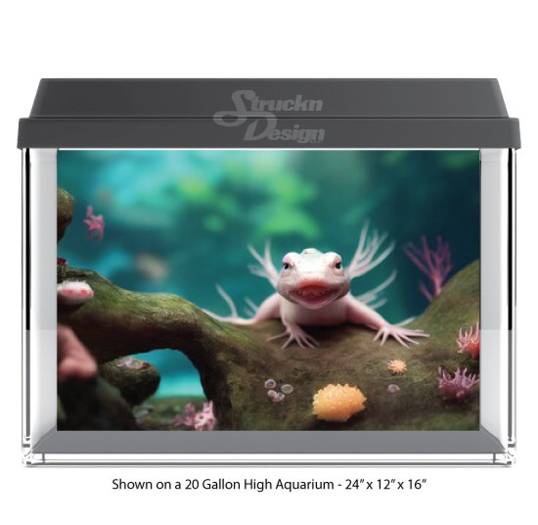 Underwater Axolotl Pink Cyan Water 10mil Polyester Fish Tank Glass ...