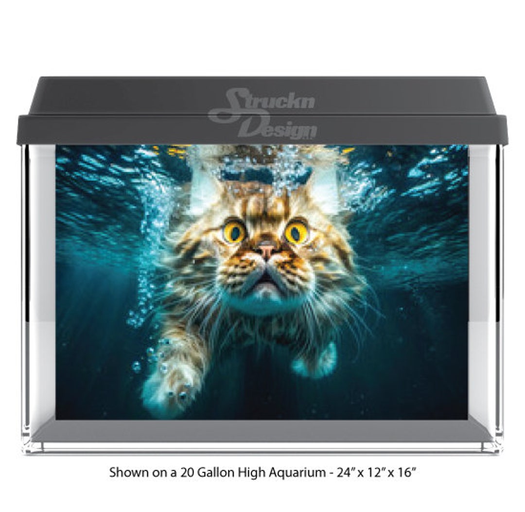 Fluffy Brown Swimming Underwater Bubbles Water 10mil Polyester Fish ...