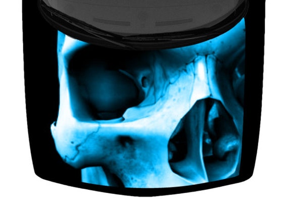 Light Blue Realistic Large Skull Head Black SUV Van Car Pickup - Etsy