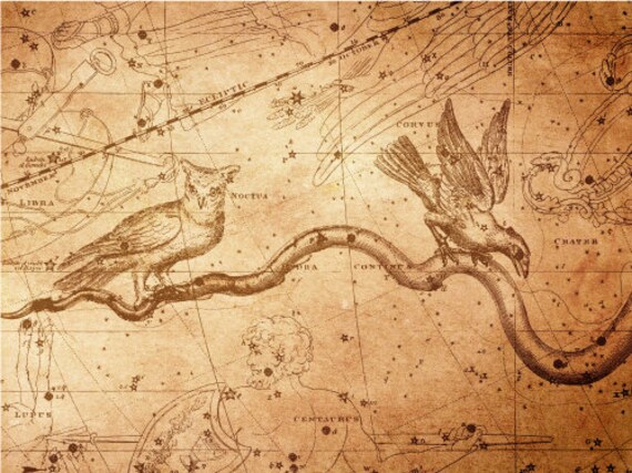 Star Chart Old Time Greek Constellations Poster Print Paper OR | Etsy