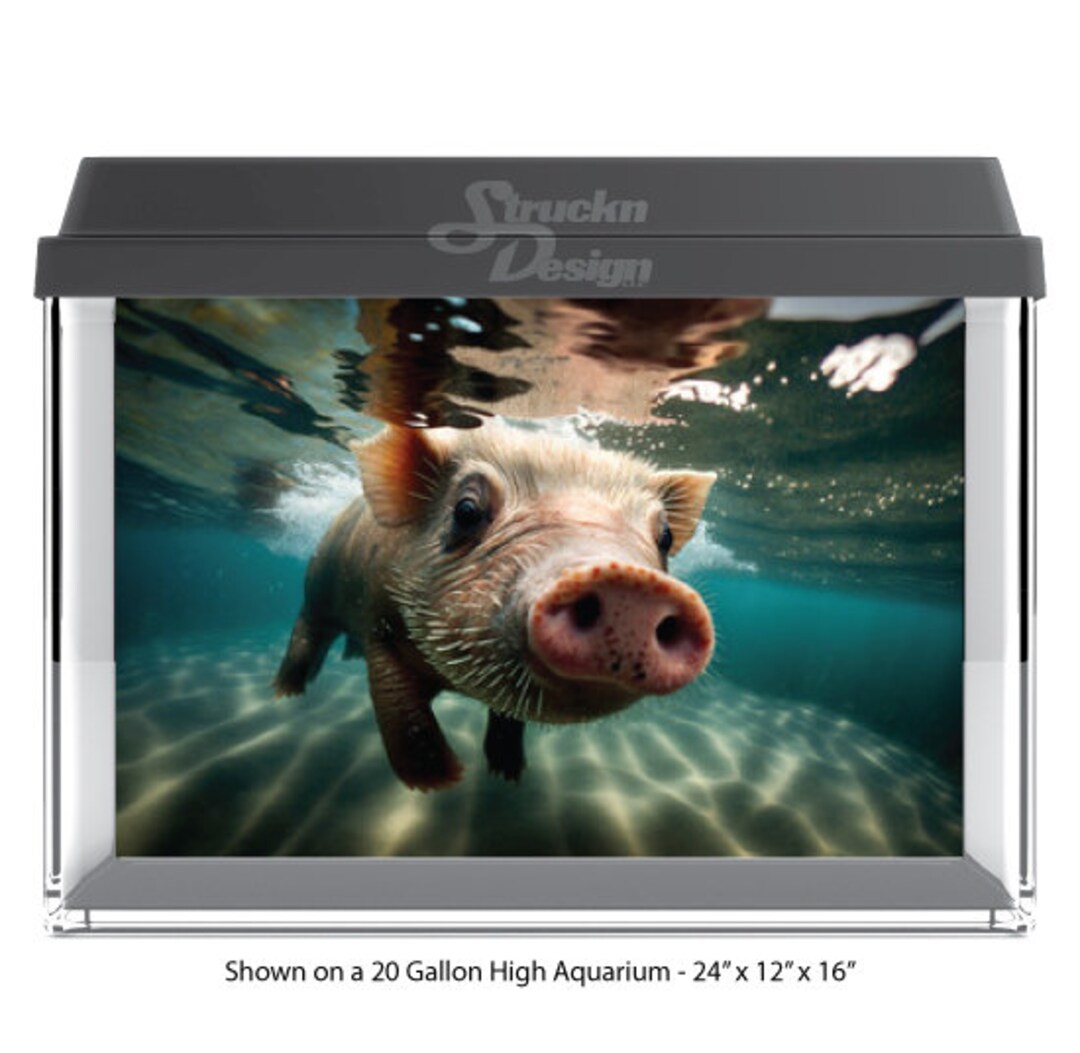 Cute Pink Pig Swimming Underwater Dark Cyan Water 10mil Polyester Fish ...