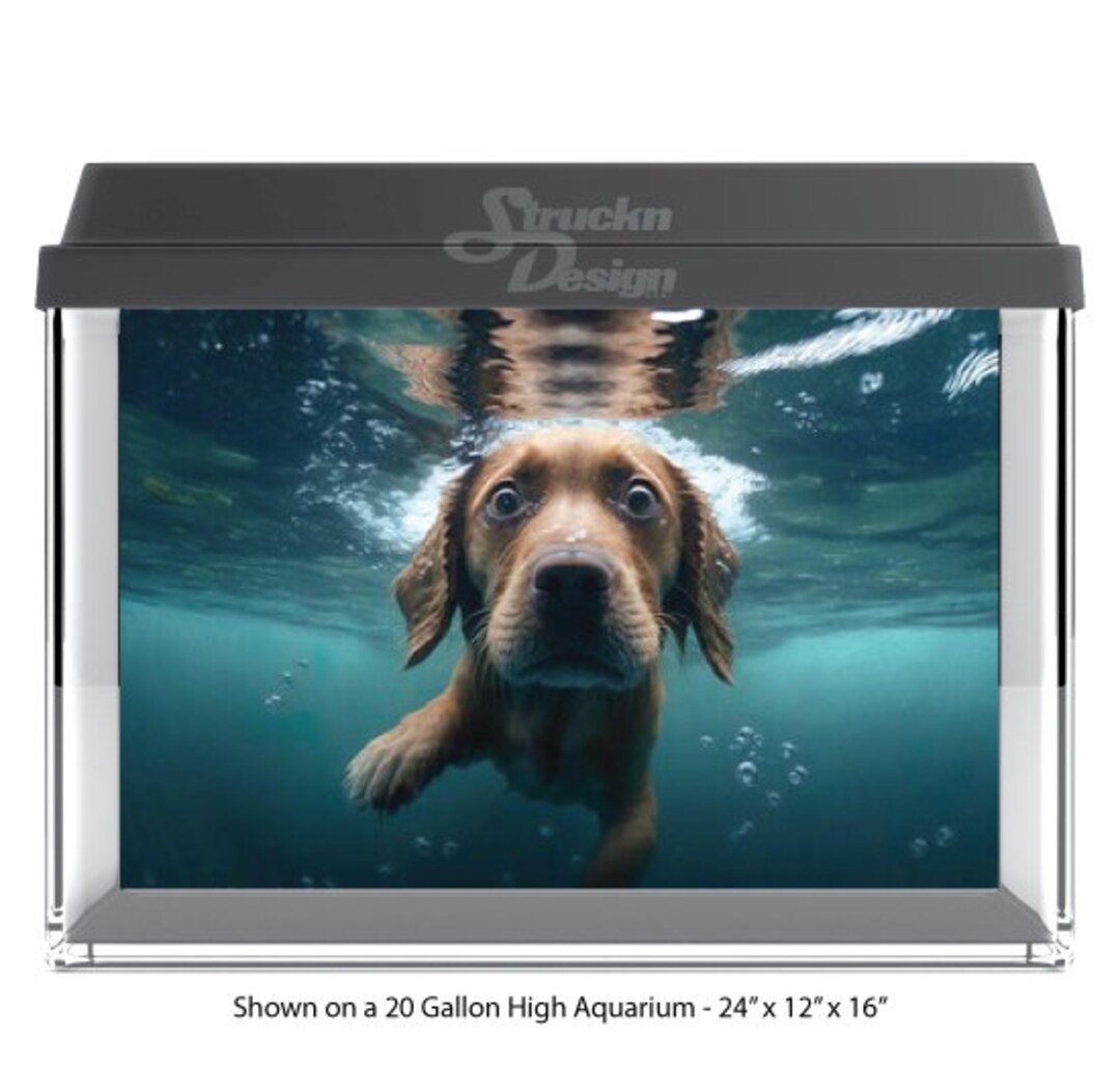 Underwater Chocolate Lab Dog Diving Bubbles Blue 10mil Polyester ...