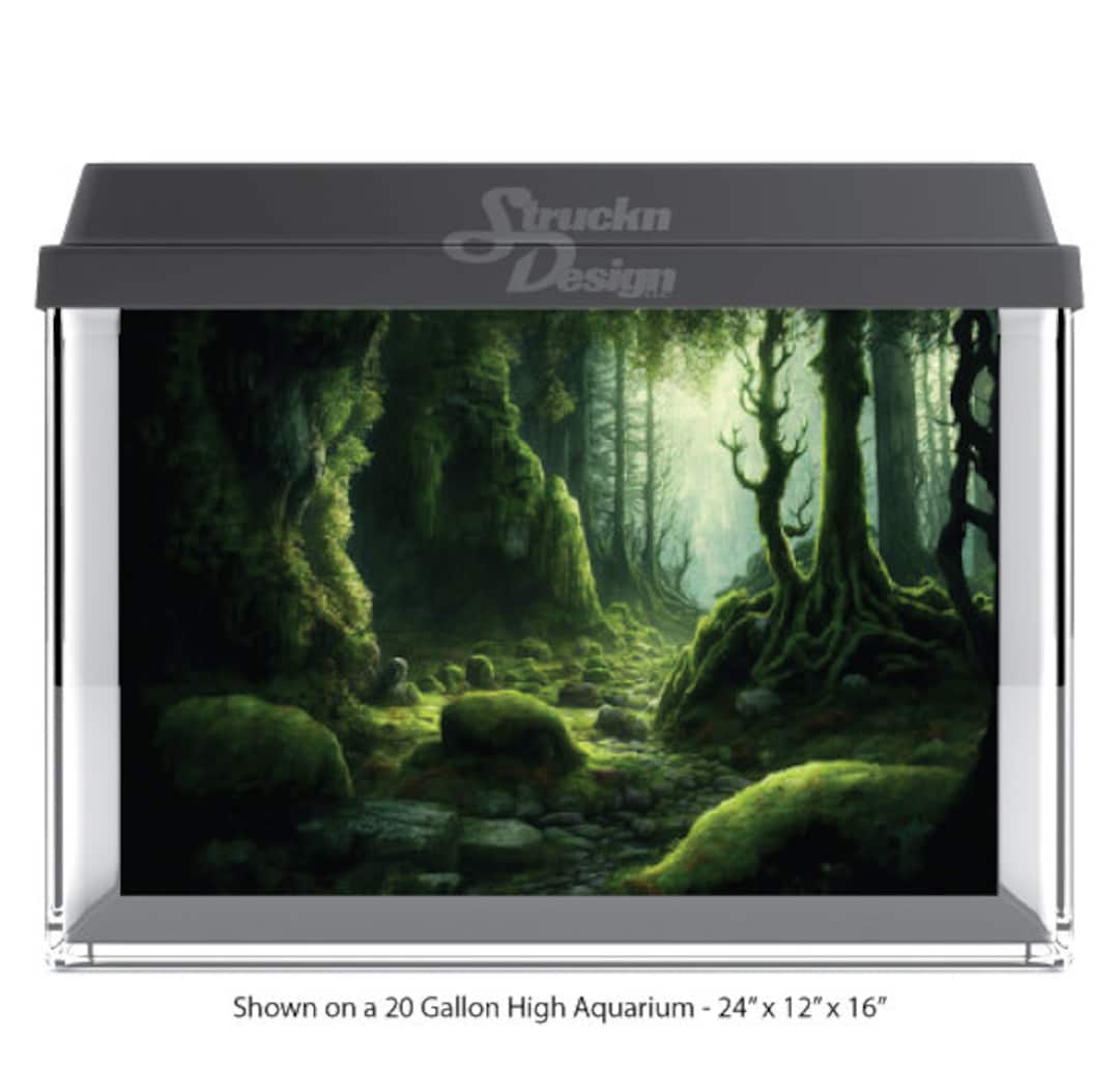 Green Foggy Nature Path Trees Water Underwater 10mil Polyester Fish ...