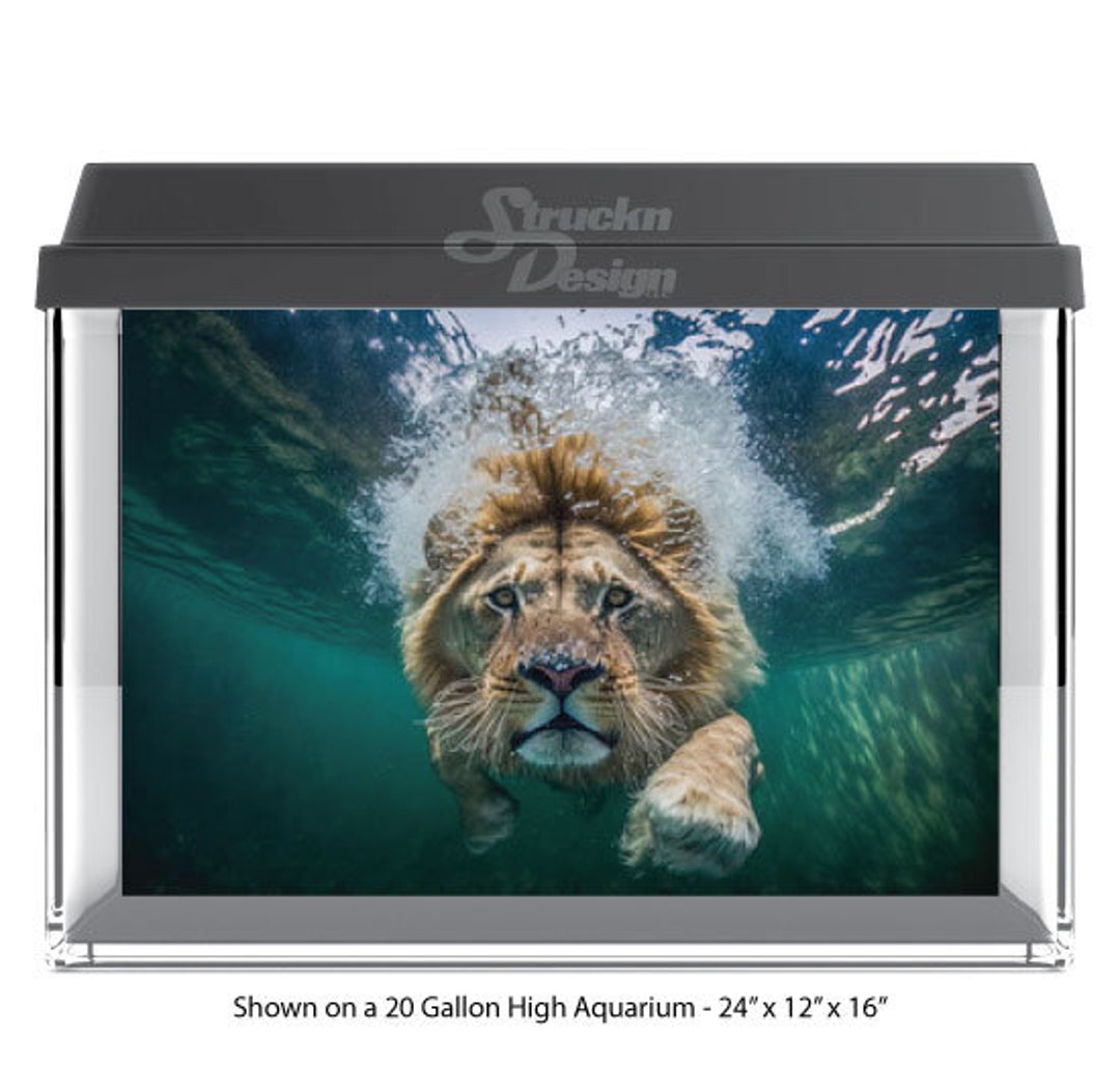 Lion Face Swimming Teal Water Underwater 10mil Polyester Fish Tank ...