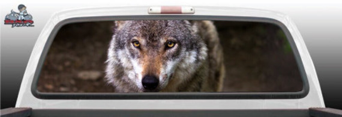 Wolf Eyes Nature Staring Glass Rear Window Decal Graphic Truck - Etsy
