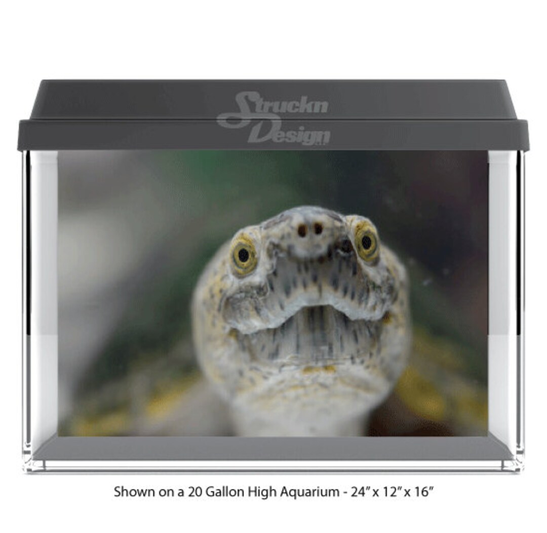 Friendly Funny Grey Turtle Water Underwater 10mil Polyester Fish Tank ...