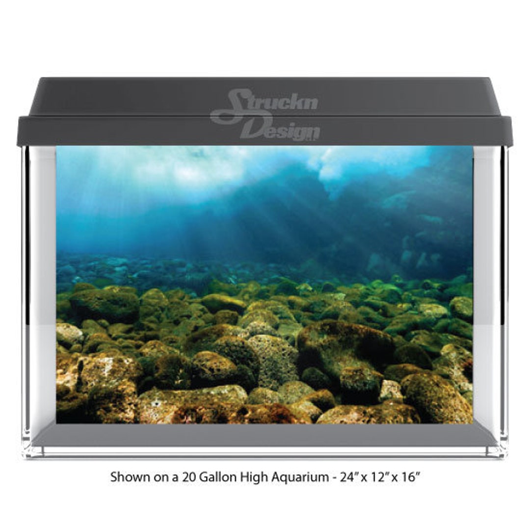 Sea Rocky Floor Sun Rays Blue Water Underwater 10mil Polyester Fish ...