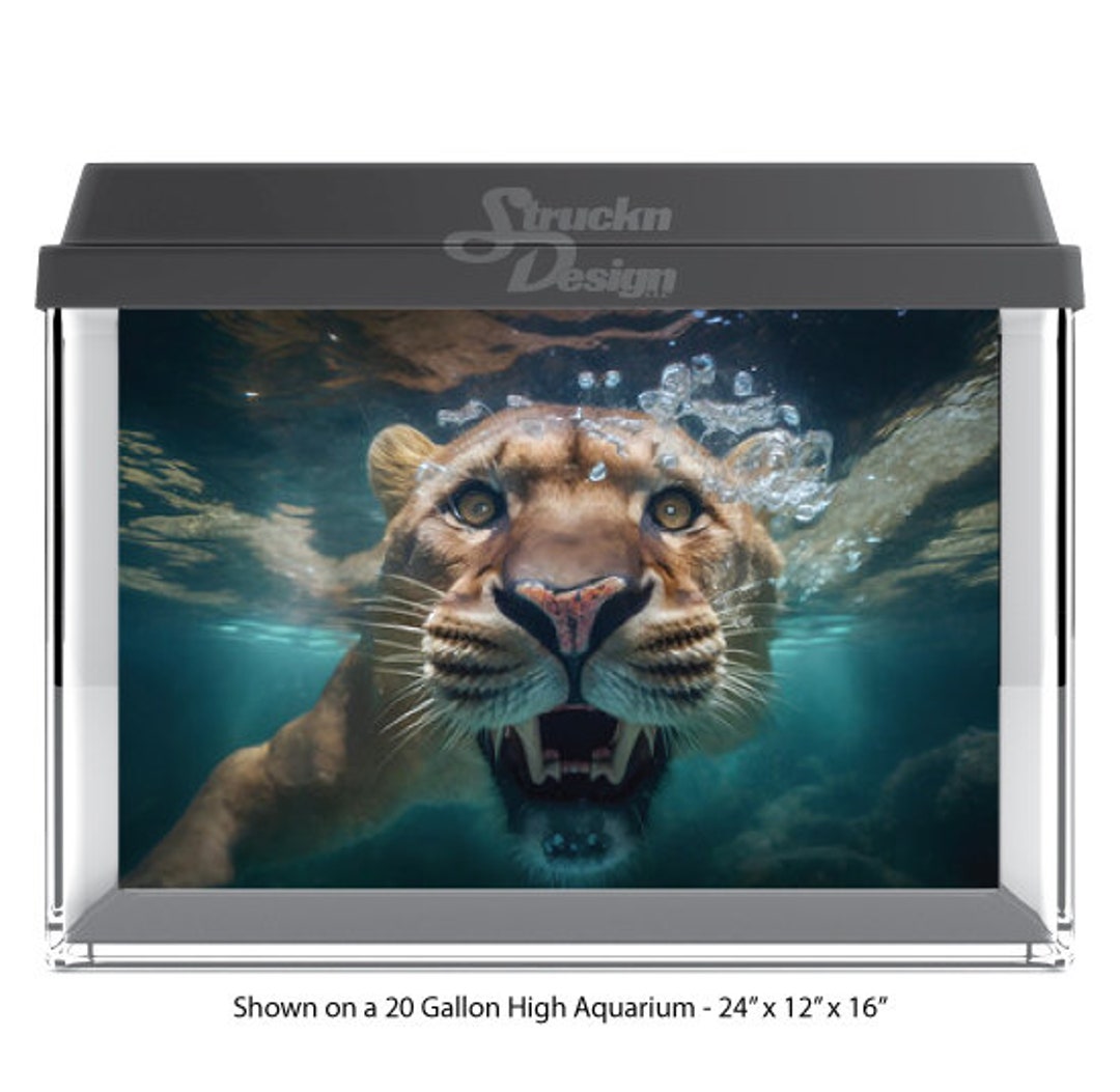 Angry Cute Lioness Swimming Underwater 10mil Polyester Fish Tank Glass ...
