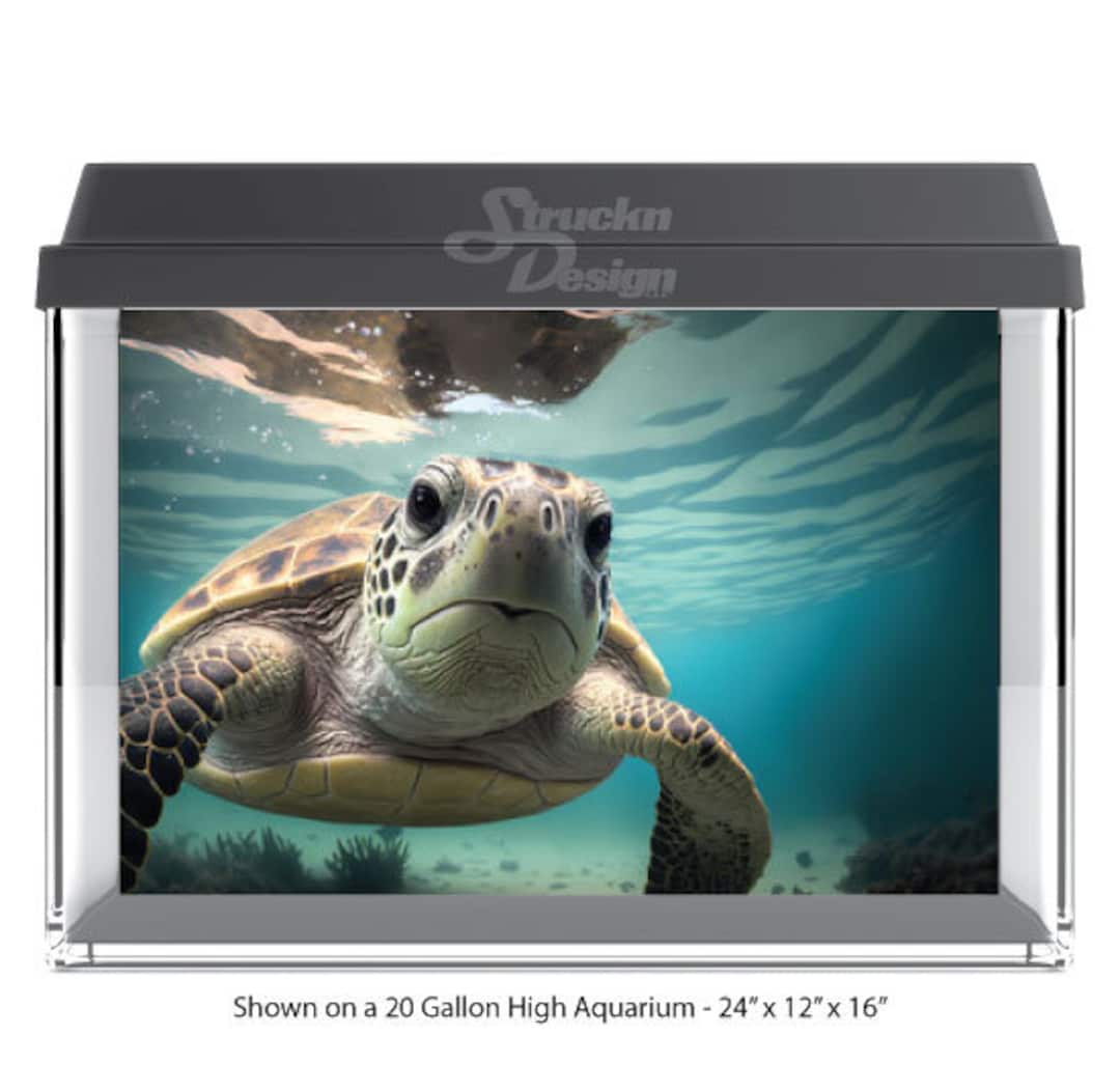 Sea Turtle Face Cute Cyan Blue Water Underwater 10mil Polyester Fish ...
