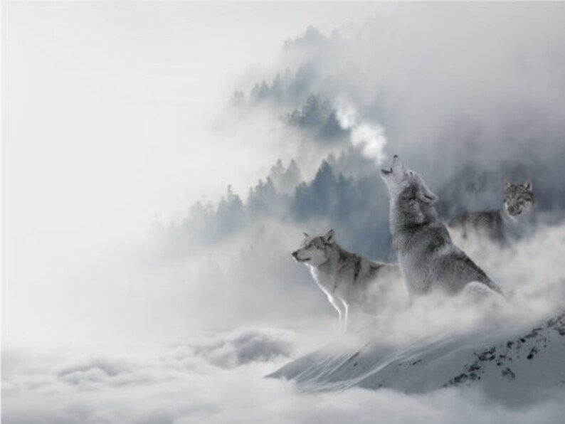 Wolf Snow Howling Cold Wolf Poster Print Paper OR Wall Vinyl - Etsy