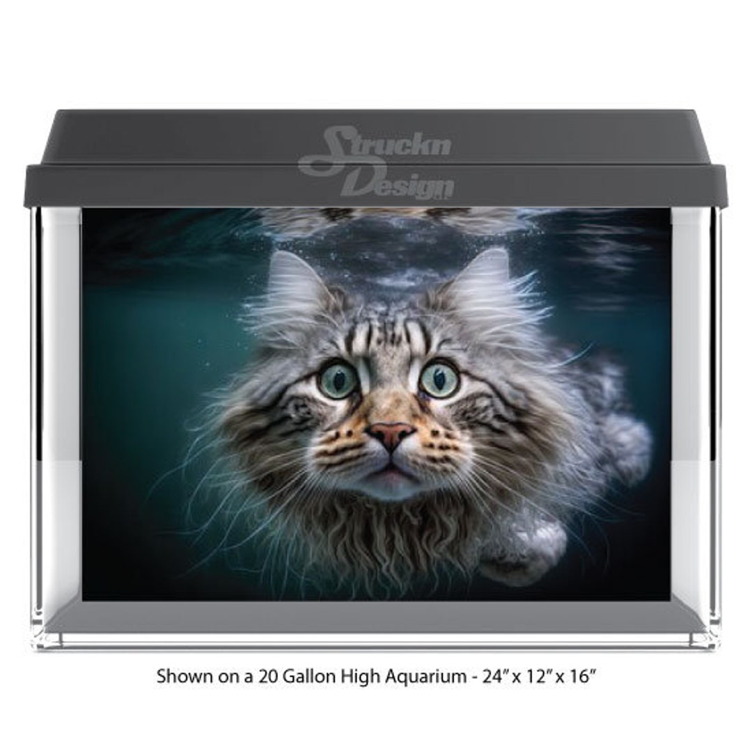 Fluffy Brown Cat Swimming Underwater Teal Water 10mil Polyester Fish ...