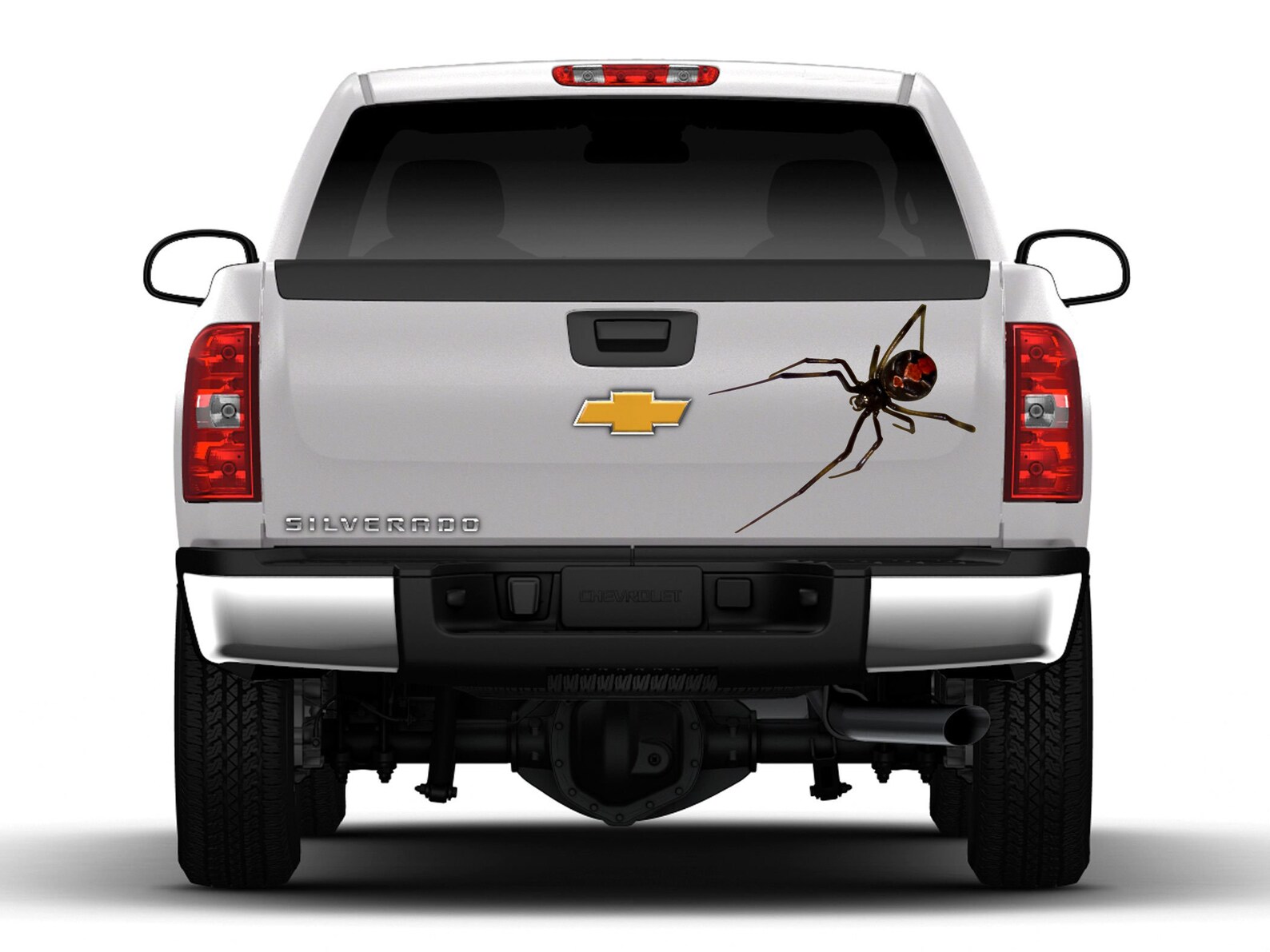 3D Spider Realistic Shadow Crawling Black Widow Creepy Large Side ...