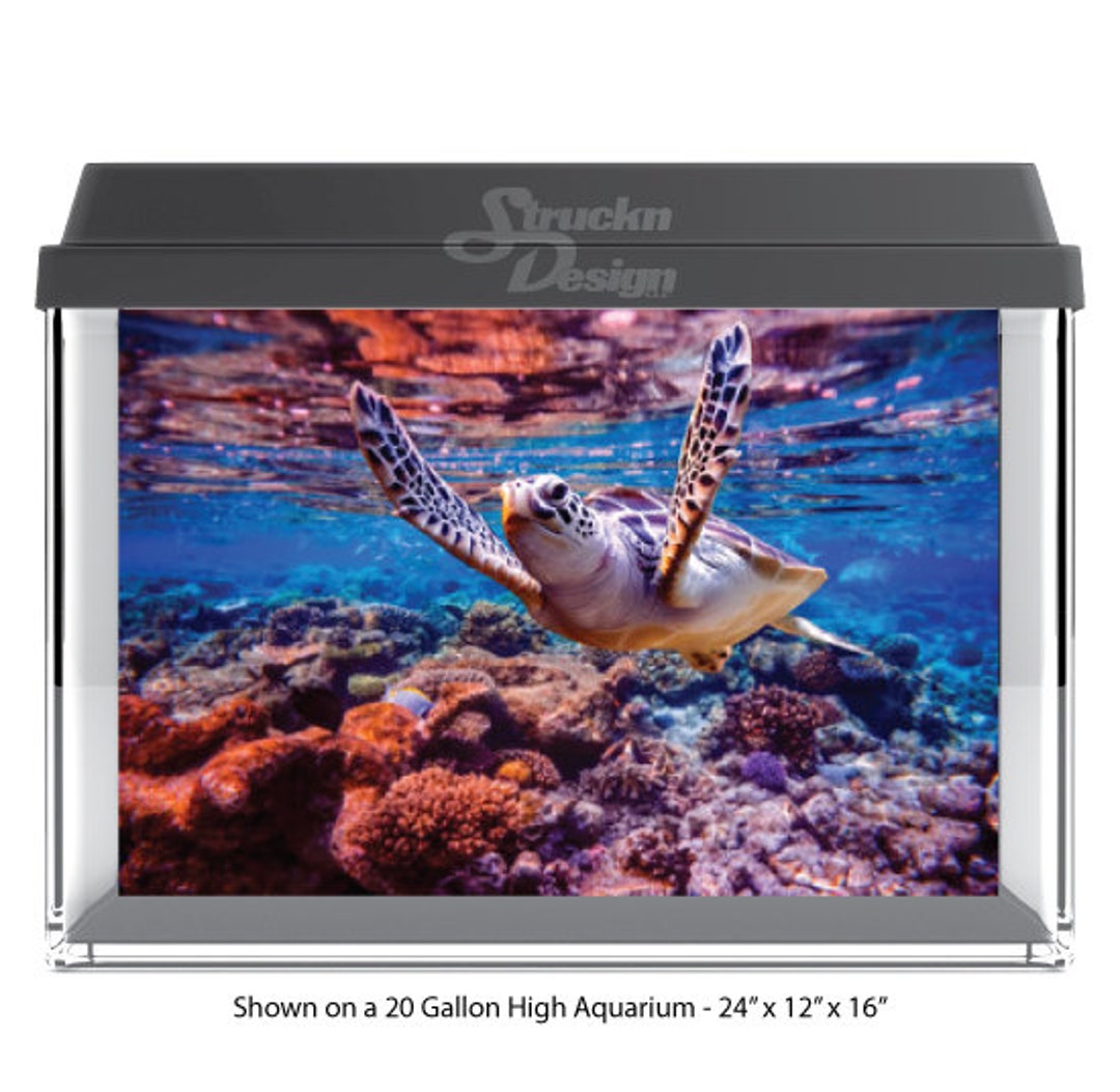 Realistic Sea Turtle Swimming Coral Reef Blue Orange 10mil Polyester ...