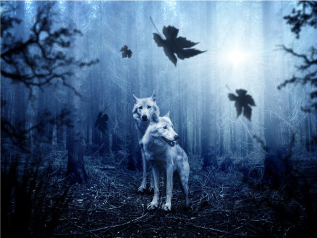 Wolf Wolves Cool Backdrop Leaves Fall Wolf Poster Print Paper OR Wall ...