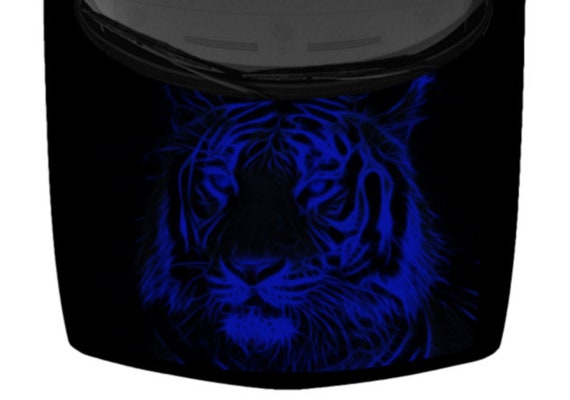 Blue Fire Tiger