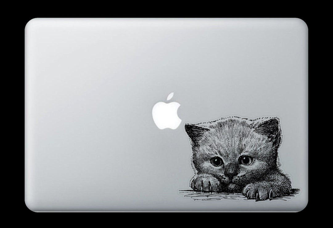 Cat Kitten Cute Detailed USA Car Computer Laptop Vinyl Decal Sticker ...