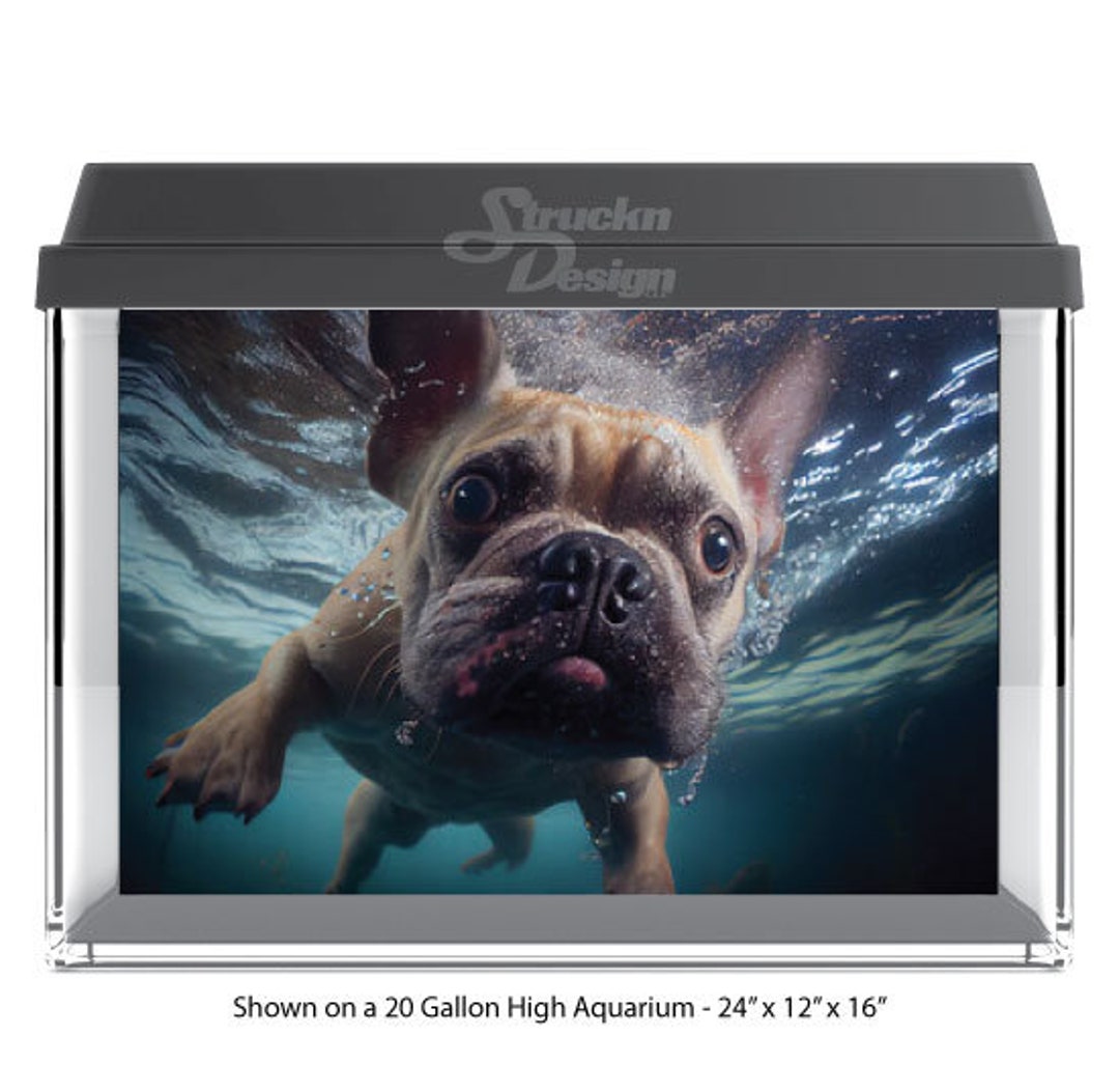 Cute Funny French Bulldog Underwater Water Swimming 10mil Polyester ...