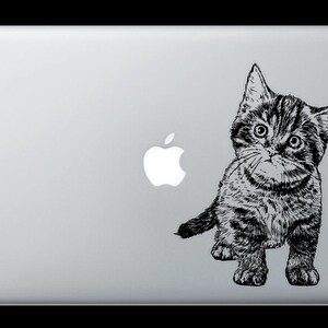 Cat Kitten Cute Detailed USA Car Computer Laptop Vinyl Decal - Etsy
