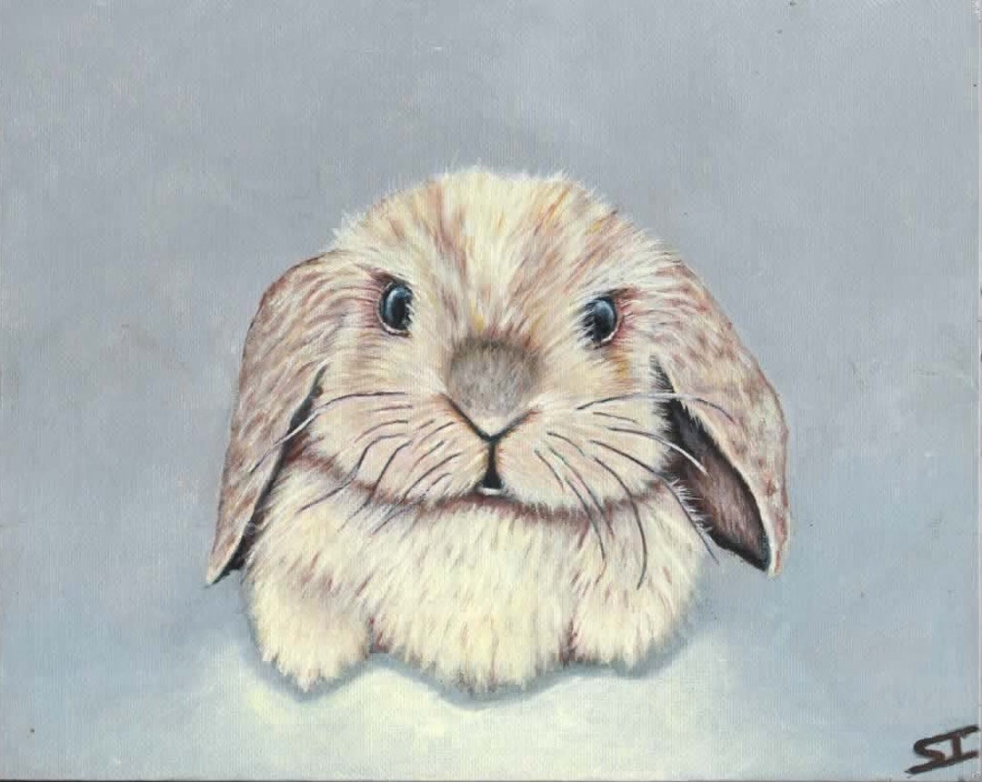 BABY BUNNY ART Picture, Baby Rabbit Art Card/canvas Print/paper Print ...