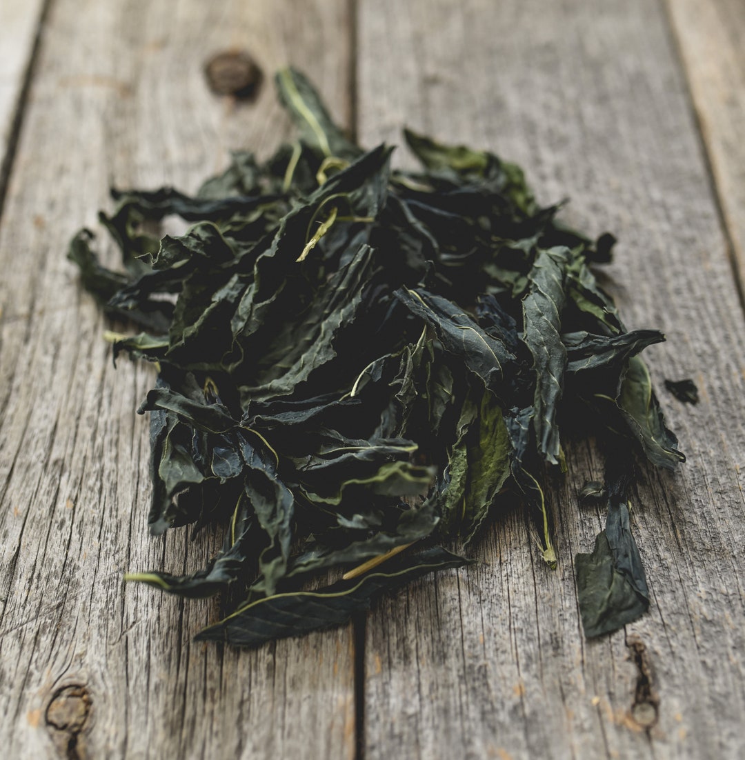 DIY INDIGO Kit Make a Japanese Indigo Vat From Dried Leaves Persicaria ...