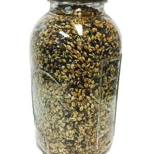 Honey Bee All Season Forage 5 Pound Seeds, Nectar Pollen Flowering ...